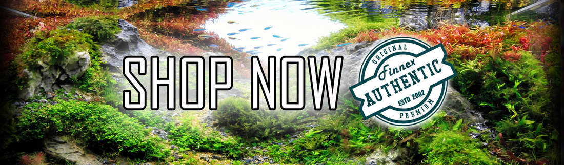 Finnex Aquariums