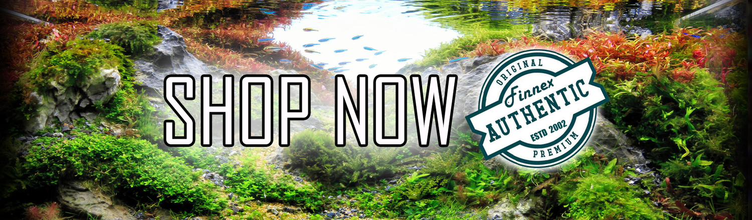 Finnex Aquariums